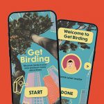 Get Birding – peanutandcrumb.com